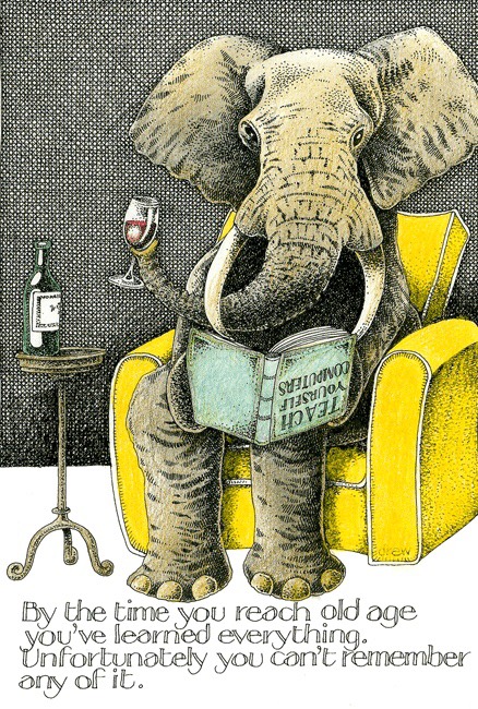 Solve DAILY FUNNY jigsaw puzzle online with 35 pieces