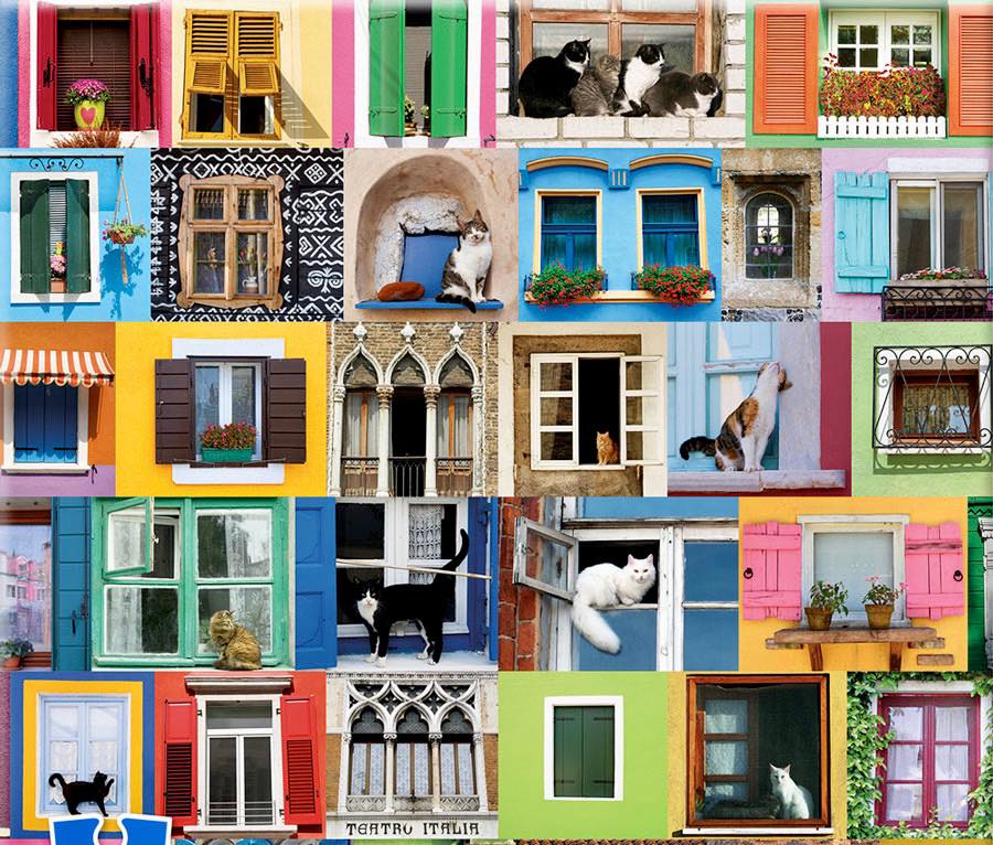Solve WINDOWS jigsaw puzzle online with 210 pieces
