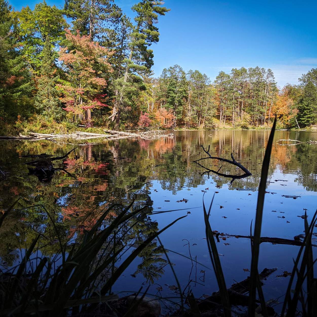 Solve Autumn Reflections jigsaw puzzle online with 100 pieces