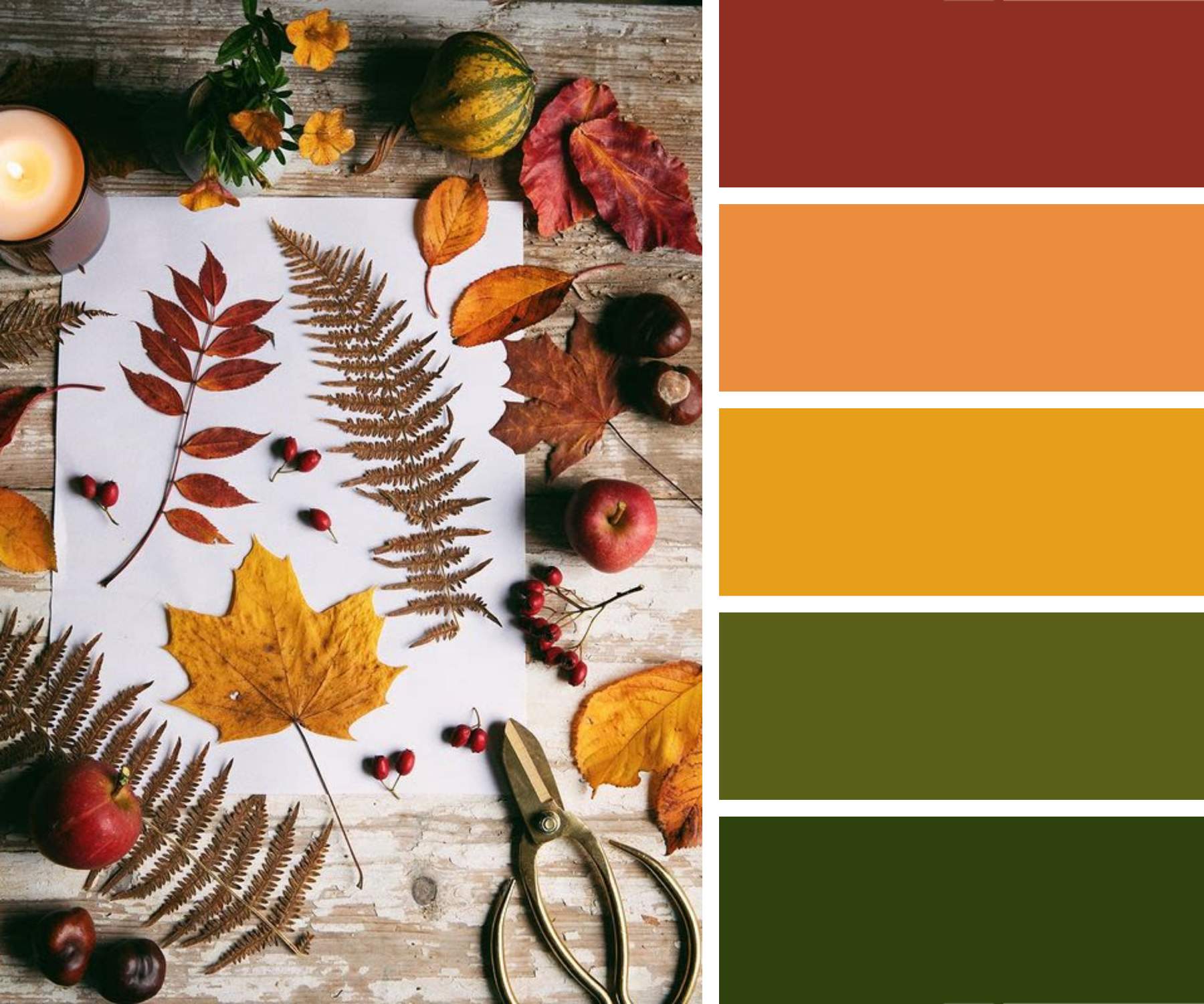 Solve Autumn Leaves jigsaw puzzle online with 270 pieces