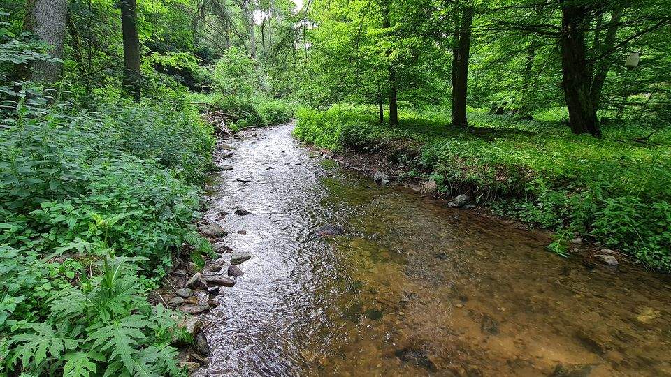 Solve Voda vlese jigsaw puzzle online with 144 pieces