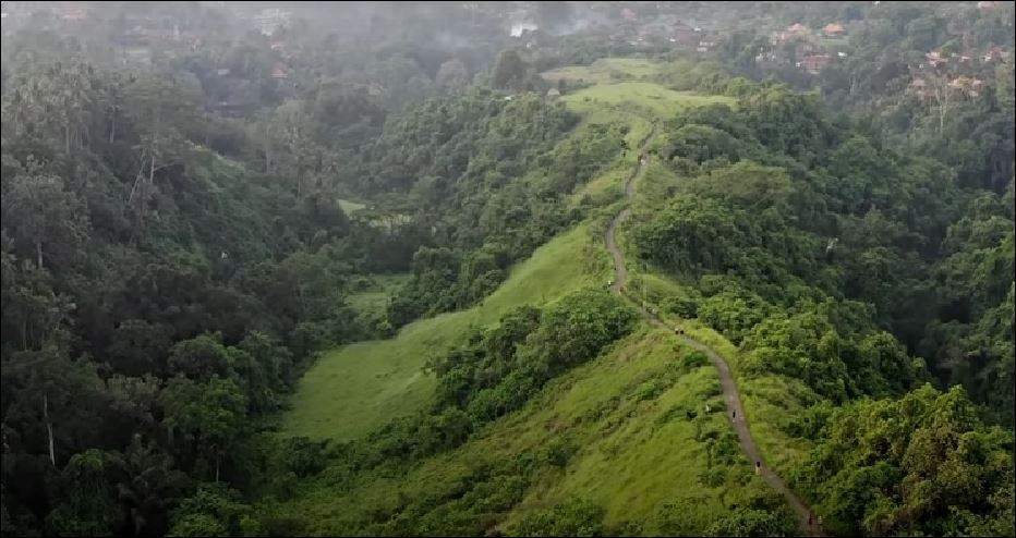 Solve ~~Gunung Leuser, North Sumatra jigsaw puzzle online with 72 pieces