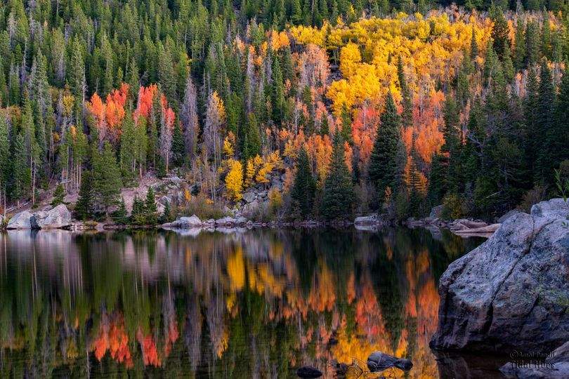 Solve Colorado Autumn jigsaw puzzle online with 117 pieces
