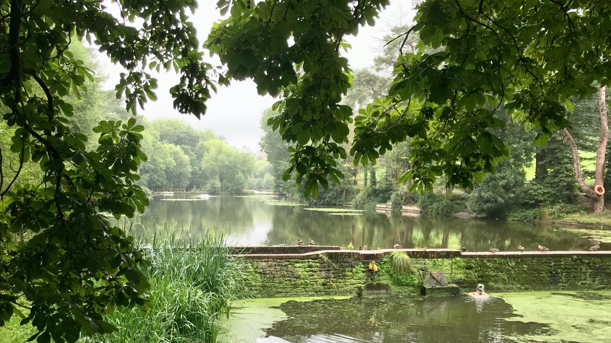 Solve Ham Green Lake jigsaw puzzle online with 252 pieces