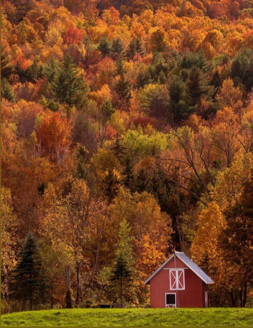 Solve Autumn jigsaw puzzle online with 48 pieces