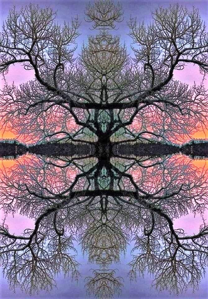 Solve Reflections jigsaw puzzle online with 35 pieces