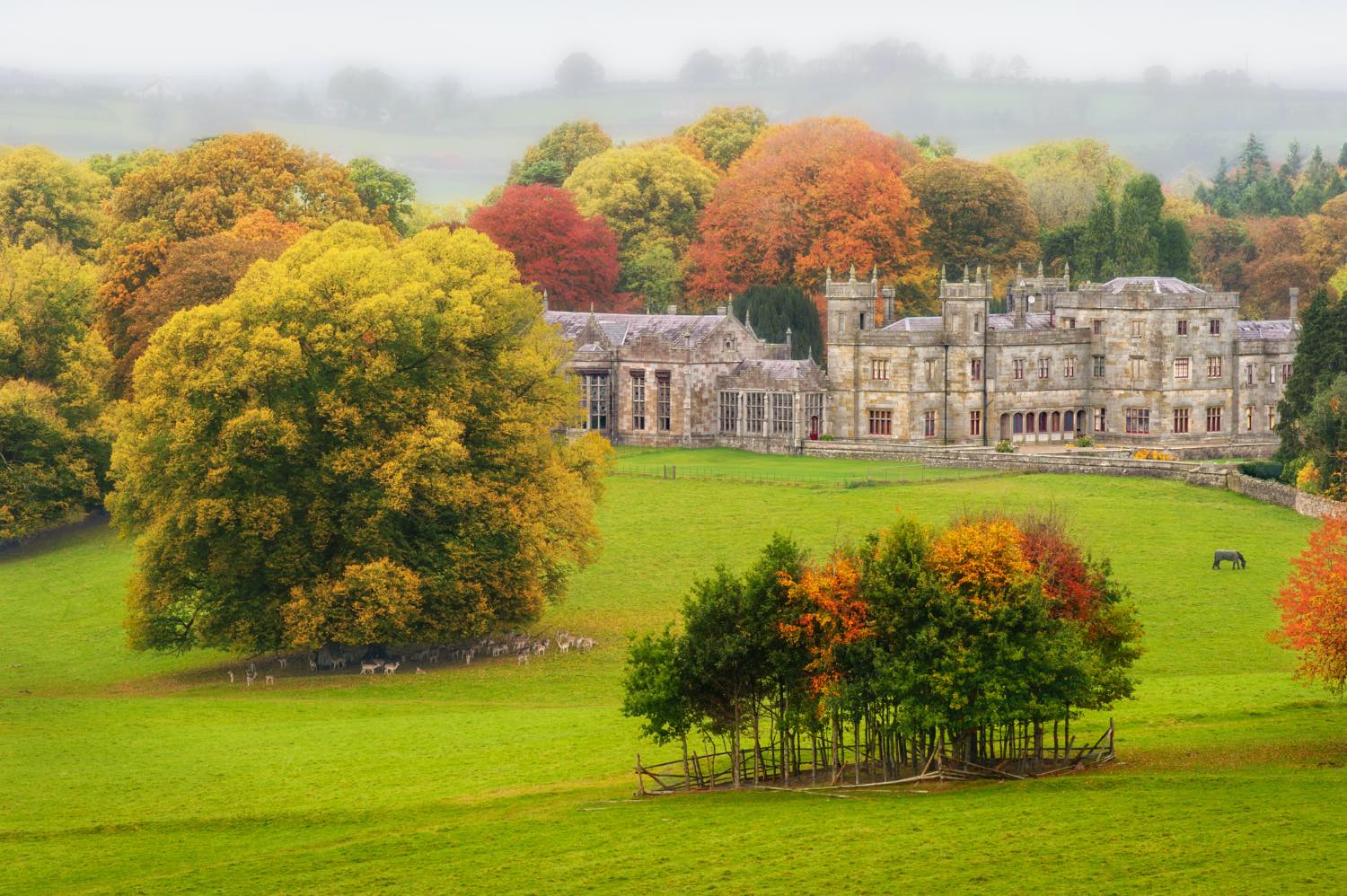 Solve Lough Fea, Carrickmacross, County Monaghan, Ireland jigsaw puzzle ...