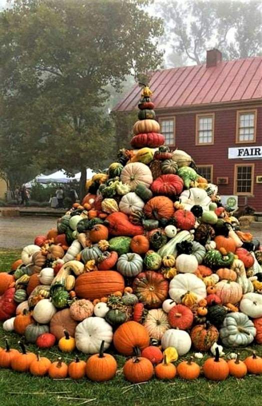 Solve A big pile of Pumpkins and Squash jigsaw puzzle online with 104 ...